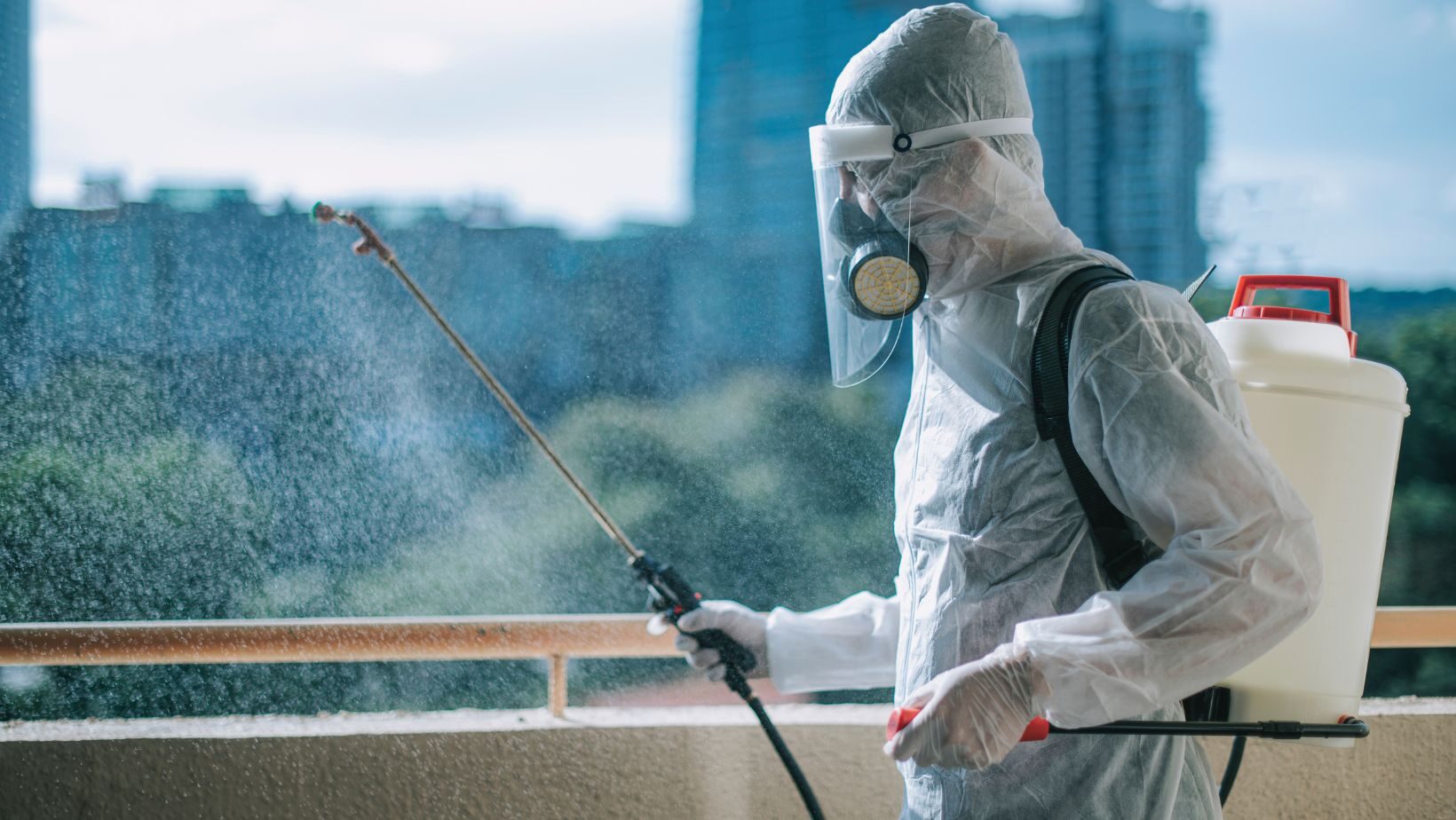 The Role of Pest Control in Boosting Property Value - Decoratoradvice