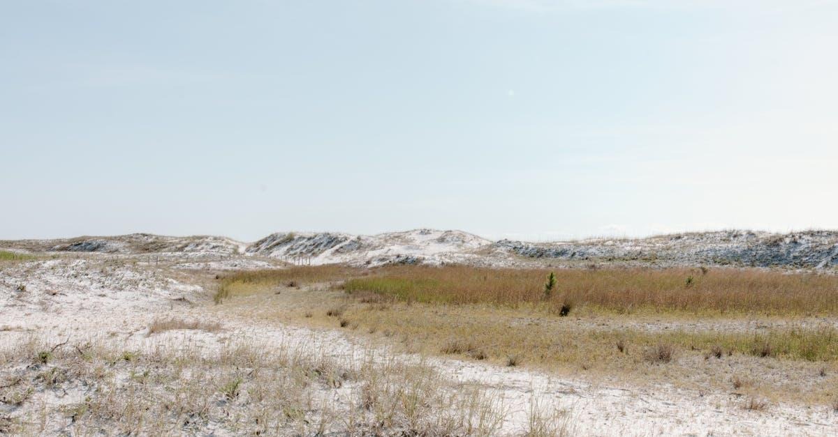 From Wild Yard to Dream Landscape: Why Proper Land Clearing Is Step One ...