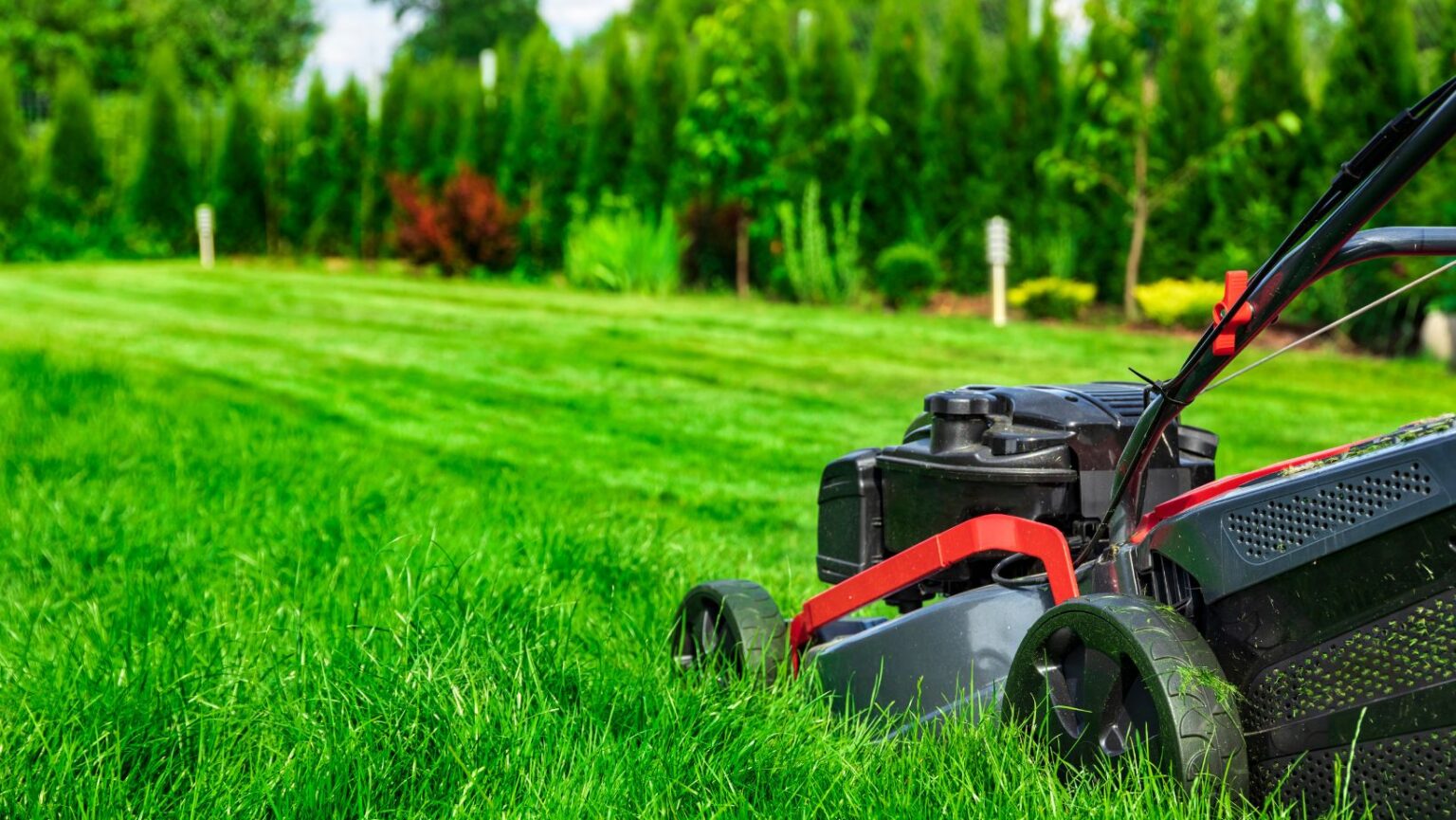 Ultimate 10 Ways to Automate Your Lawn Care - Decoratoradvice